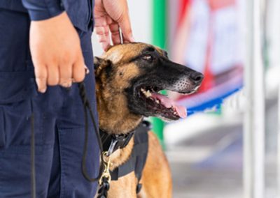 GUK Security | Security Ensured